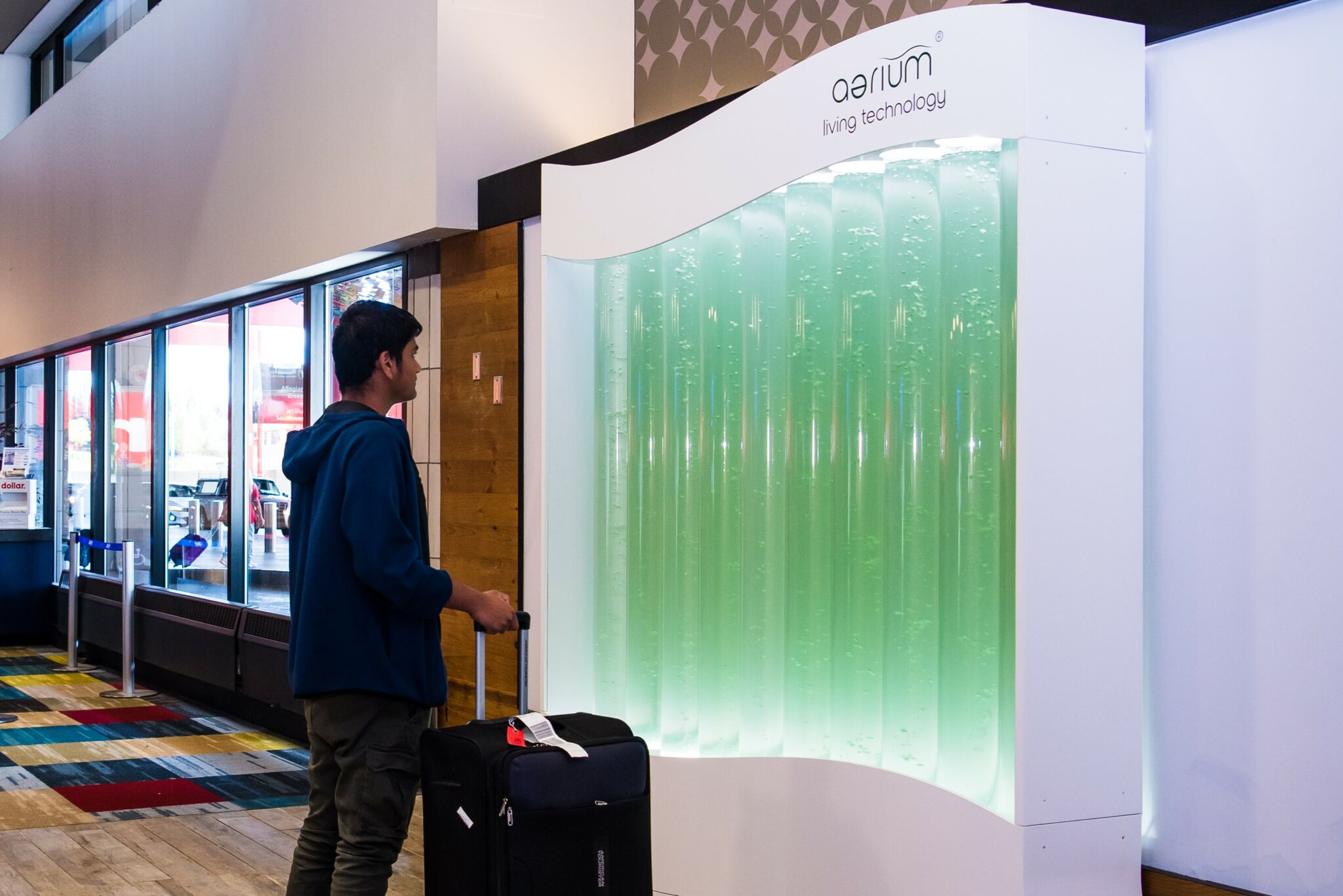 Utilizing Live Algae for Indoor Air Oxygenation - Fly Pittsburgh